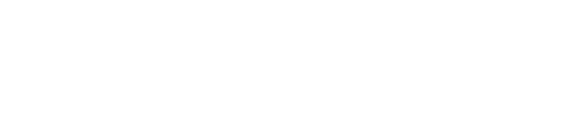 NetJets logo, trademark white.